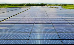 Solar Farms