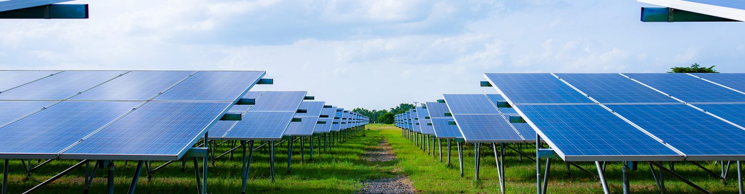Ayala partners with Leviste’s Solar Philippines